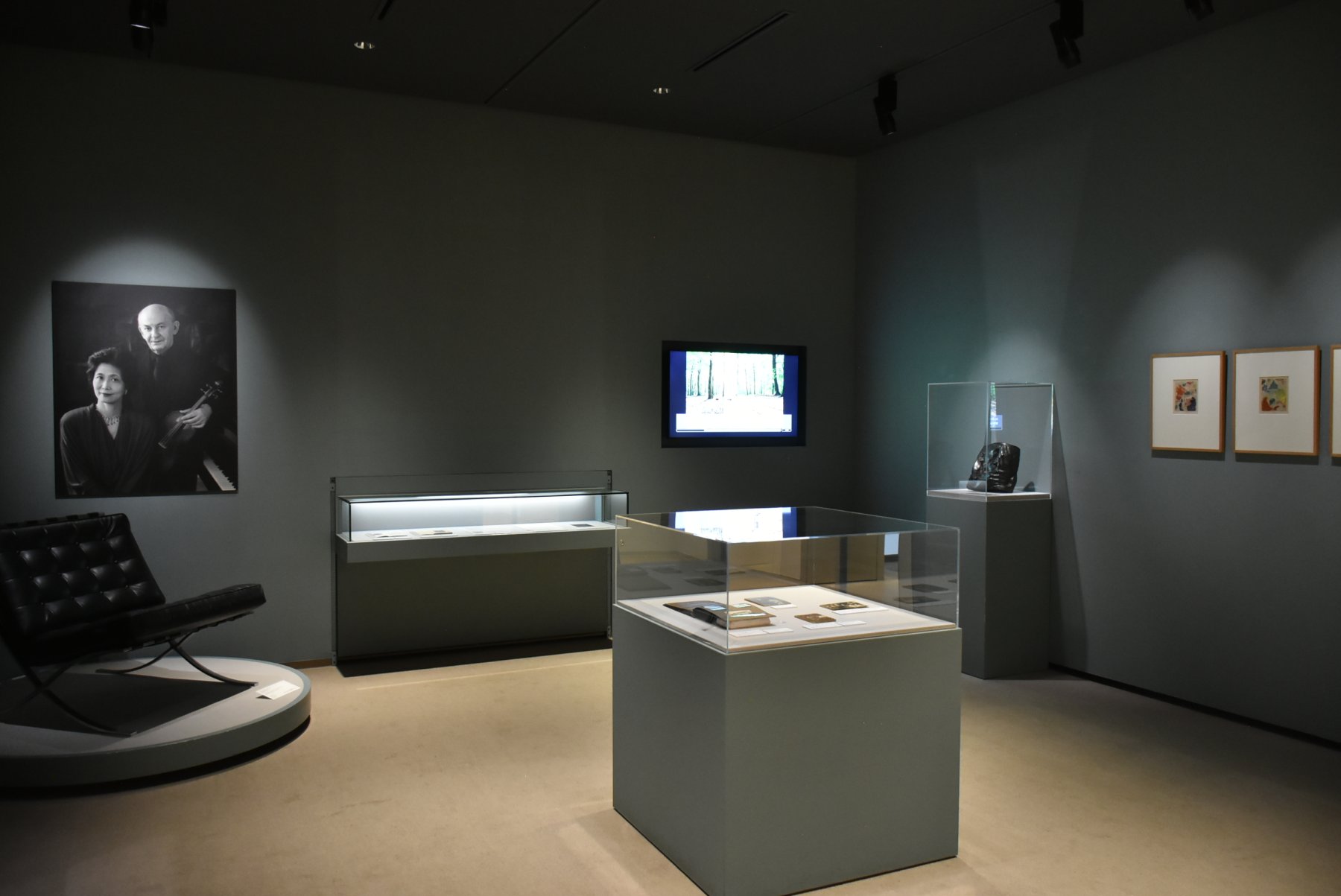 シモン・ゴールドベルク＆山根美代子コレクション | 富山県美術館